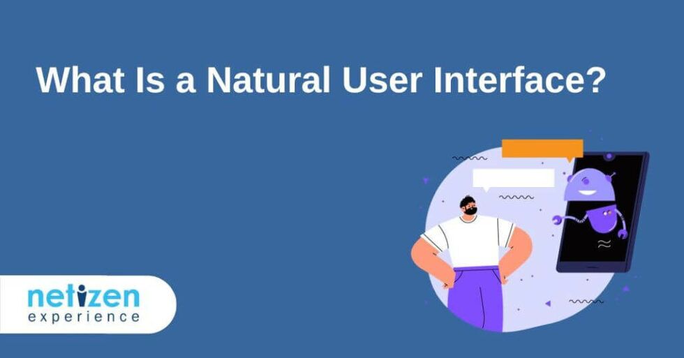 Natural User Interface | Netizen Experience